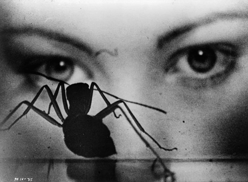 Phase IV: Super-Intelligent Ants Take on Man in a 70s Sci-fi Head-Scratcher