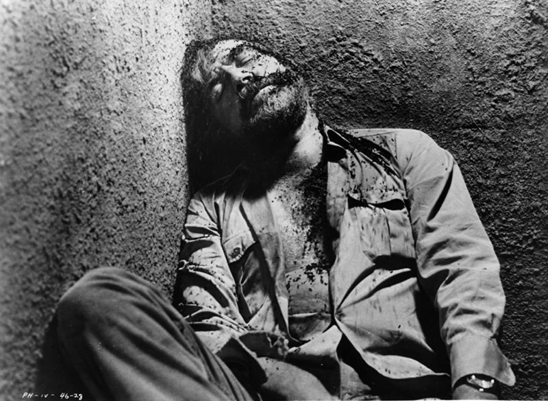 Phase IV: Super-Intelligent Ants Take on Man in a 70s Sci-fi Head-Scratcher